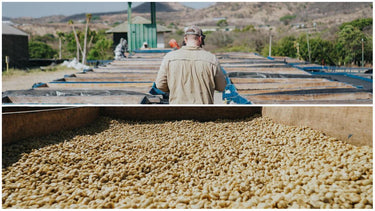 Pilgrim Coffeehouse | Seattle Coffee Roaster – Pilgrim Coffeehouse ...